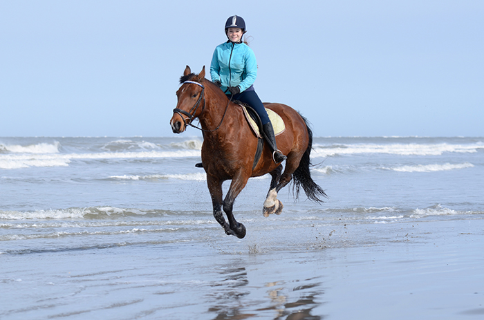 Ameland, Nordsee_by Martin@Sonja Jansen_Magazin | Defshop Magazin